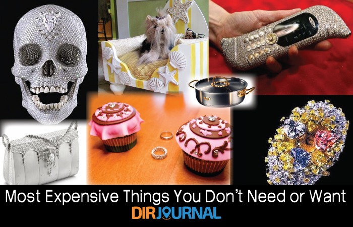 Most Expensive Things You Don't Need or Want - DirJournal Blogs
