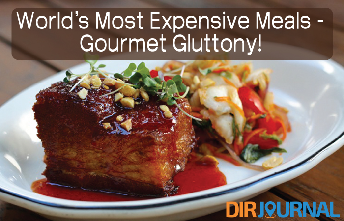 World's Most Expensive Meals - Gourmet Gluttony! - DirJournal Blogs